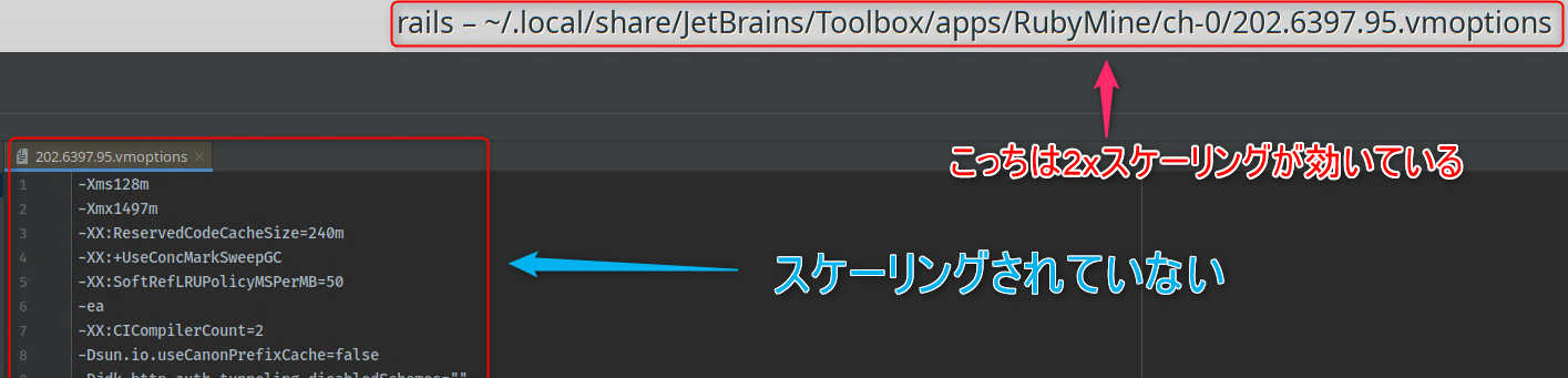 Linux環境のRubyMine（IntelliJ IDEA）で表示サイズを拡大させる方法｜TechRacho by BPS株式会社
