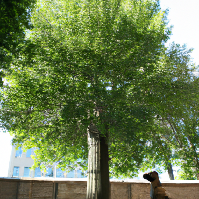 OpenAI APIをRubyアプリケーションに統合する（翻訳）｜TechRacho by BPS株式会社